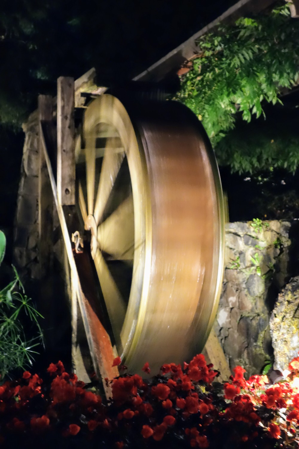 Western Expedition Stop 11: Victoria B.C. - Roadtrips & Rollercoasters