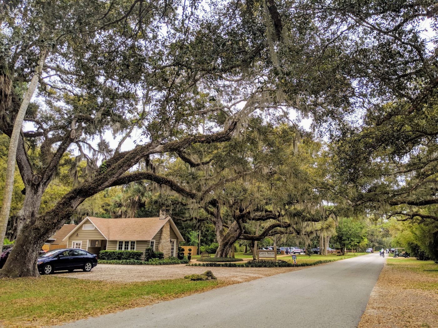 Washington Oaks Gardens State Park - Roadtrips & Rollercoasters