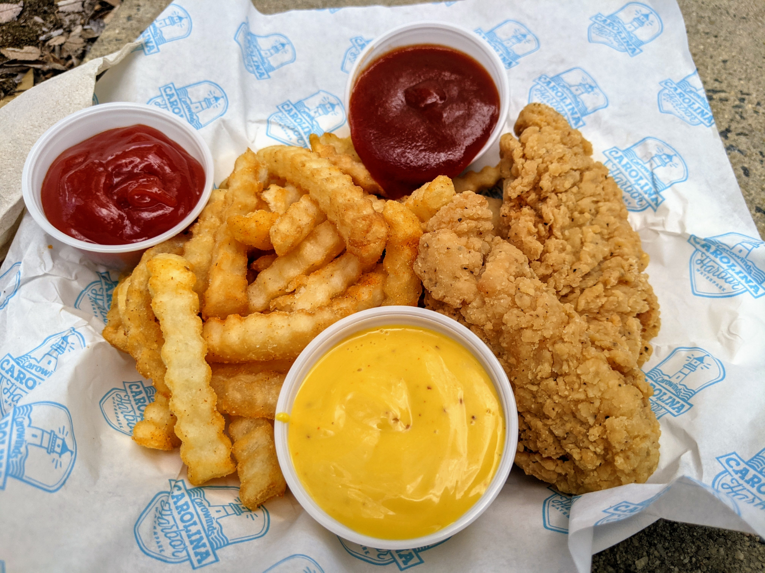 Carowinds Review - Roadtrips & Rollercoasters