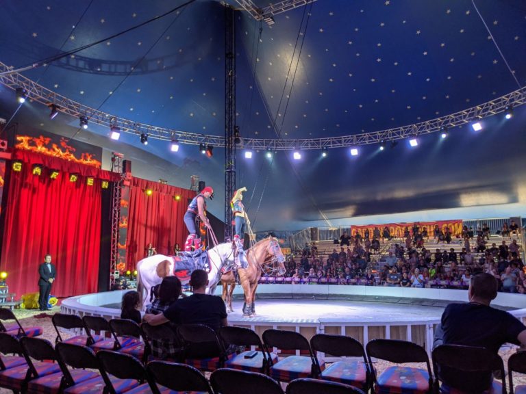 Garden Bros Circus Review - Roadtrips & Rollercoasters