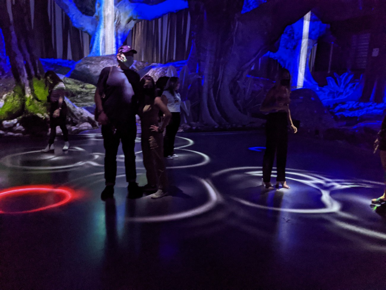 Meow Wolf Denver - Roadtrips & Rollercoasters
