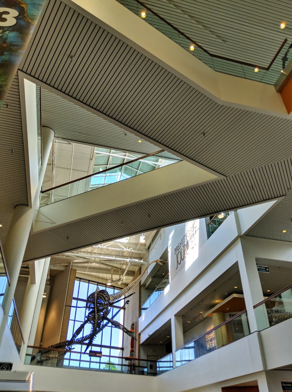 Denver Museum of Nature & Science - Roadtrips & Rollercoasters