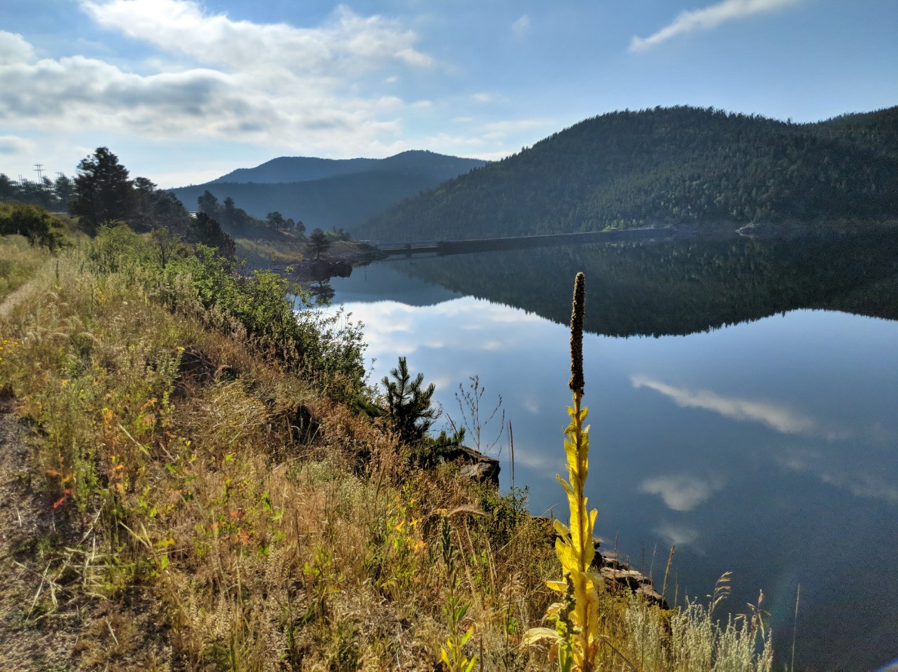 Nederland, Colorado - Roadtrips & Rollercoasters