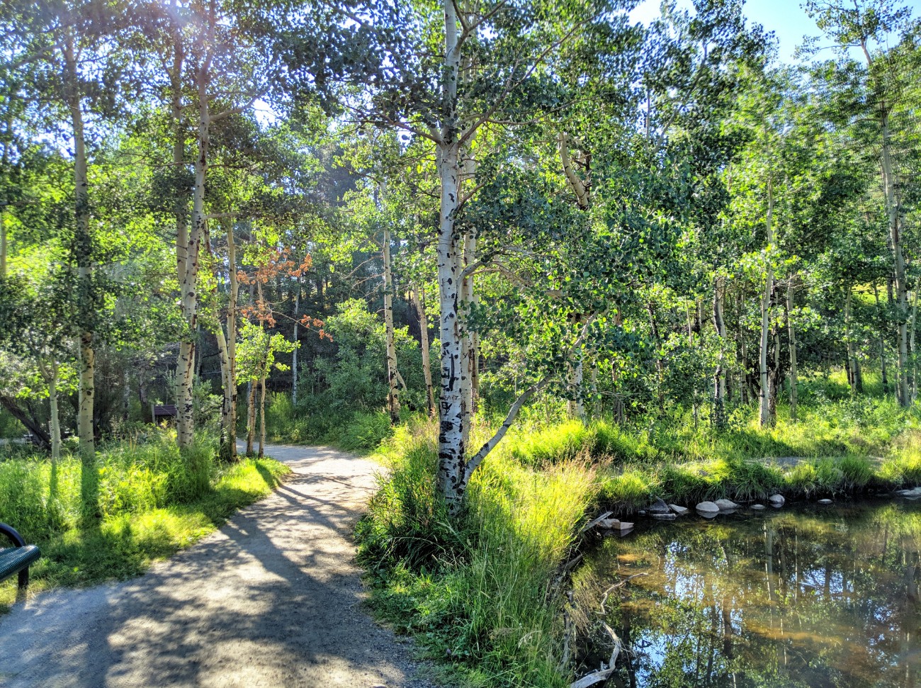 Nederland, Colorado - Roadtrips & Rollercoasters