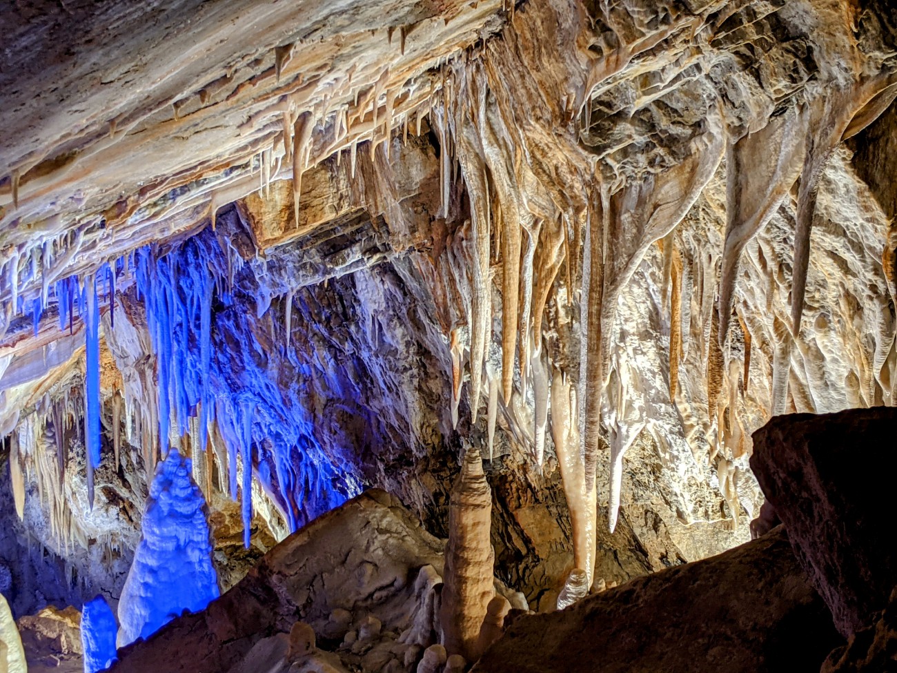 Glenwood Caverns Adventure Park - Roadtrips & Rollercoasters