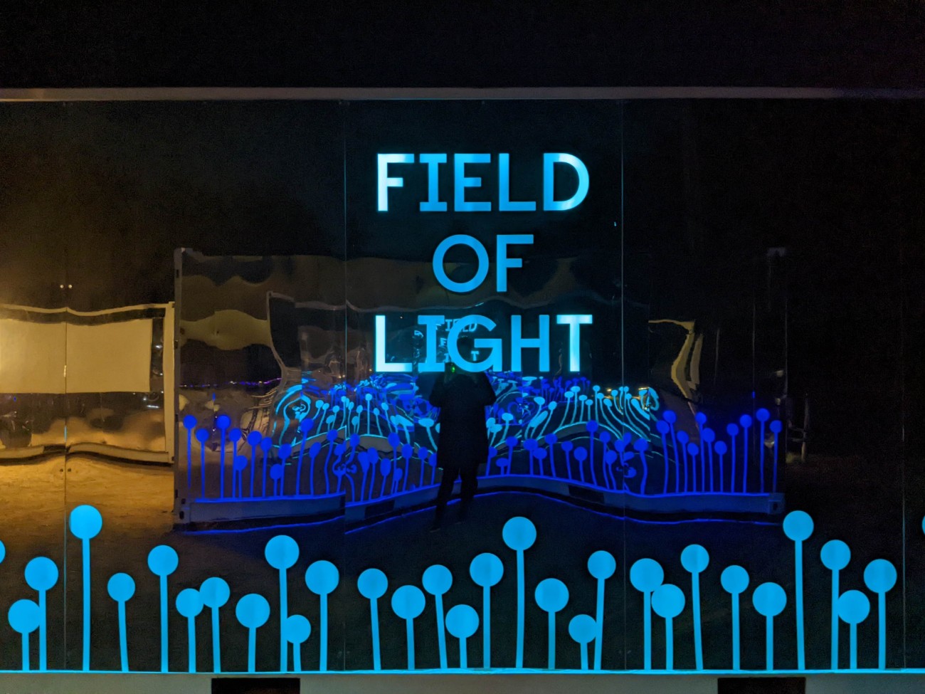 Field of Light Austin - Roadtrips & Rollercoasters