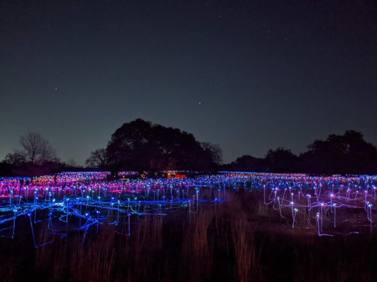 Field of Light Austin - Roadtrips & Rollercoasters