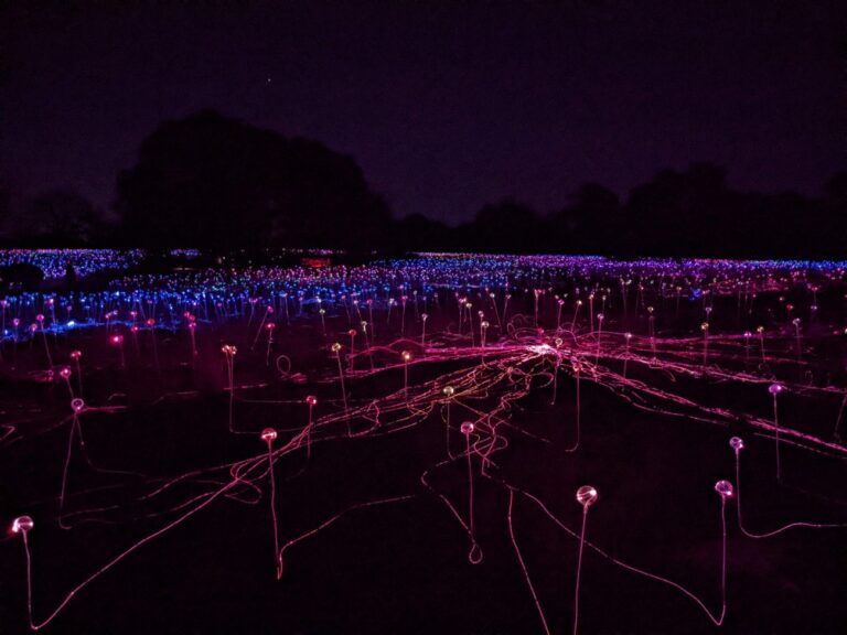 Field of Light Austin - Roadtrips & Rollercoasters