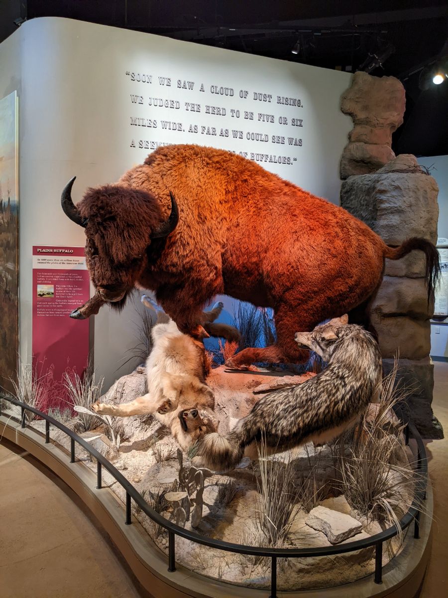 Frontier Texas! - Roadtrips & Rollercoasters