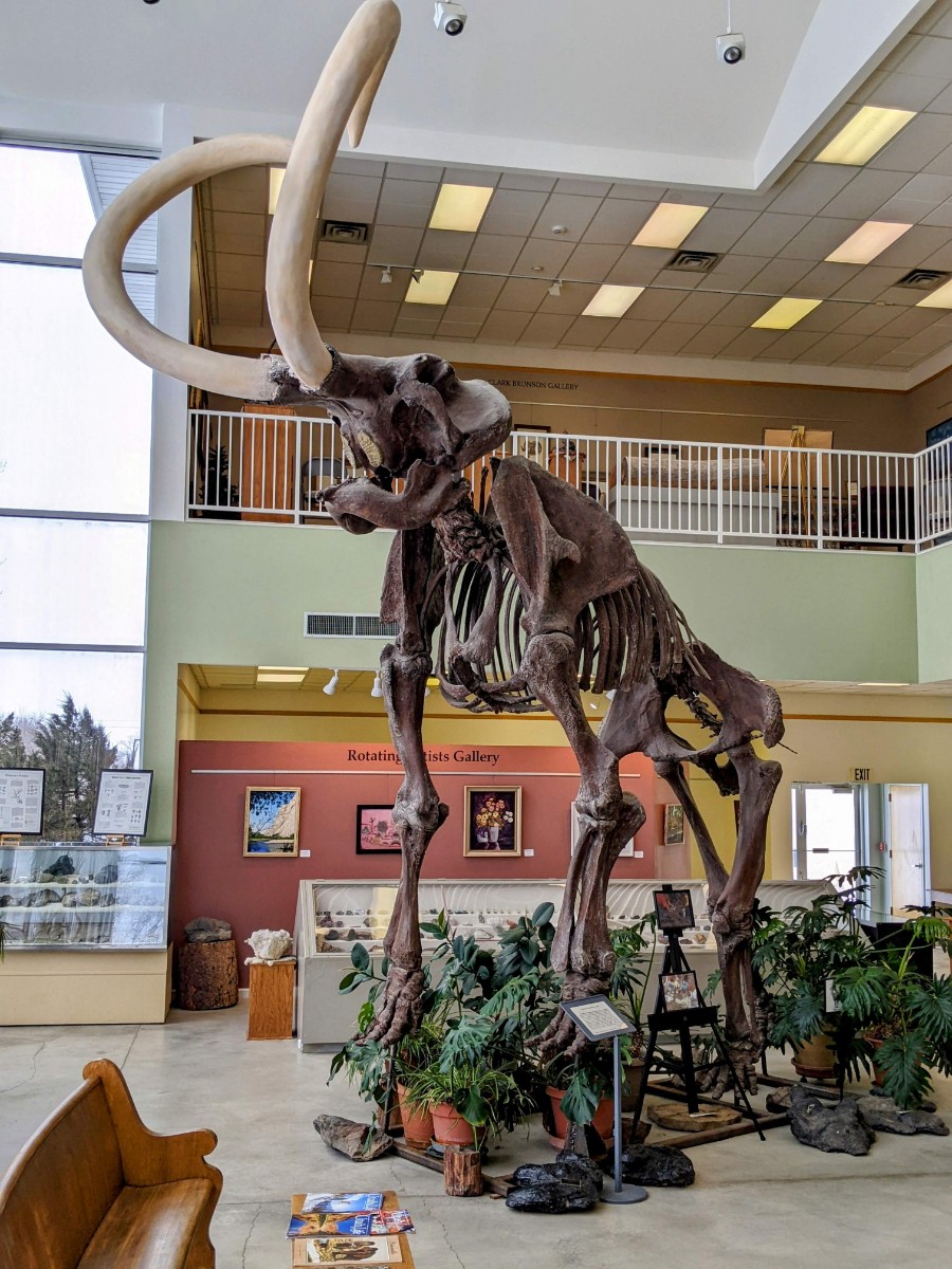 Fairview Museum of History and Art - Roadtrips & Rollercoasters