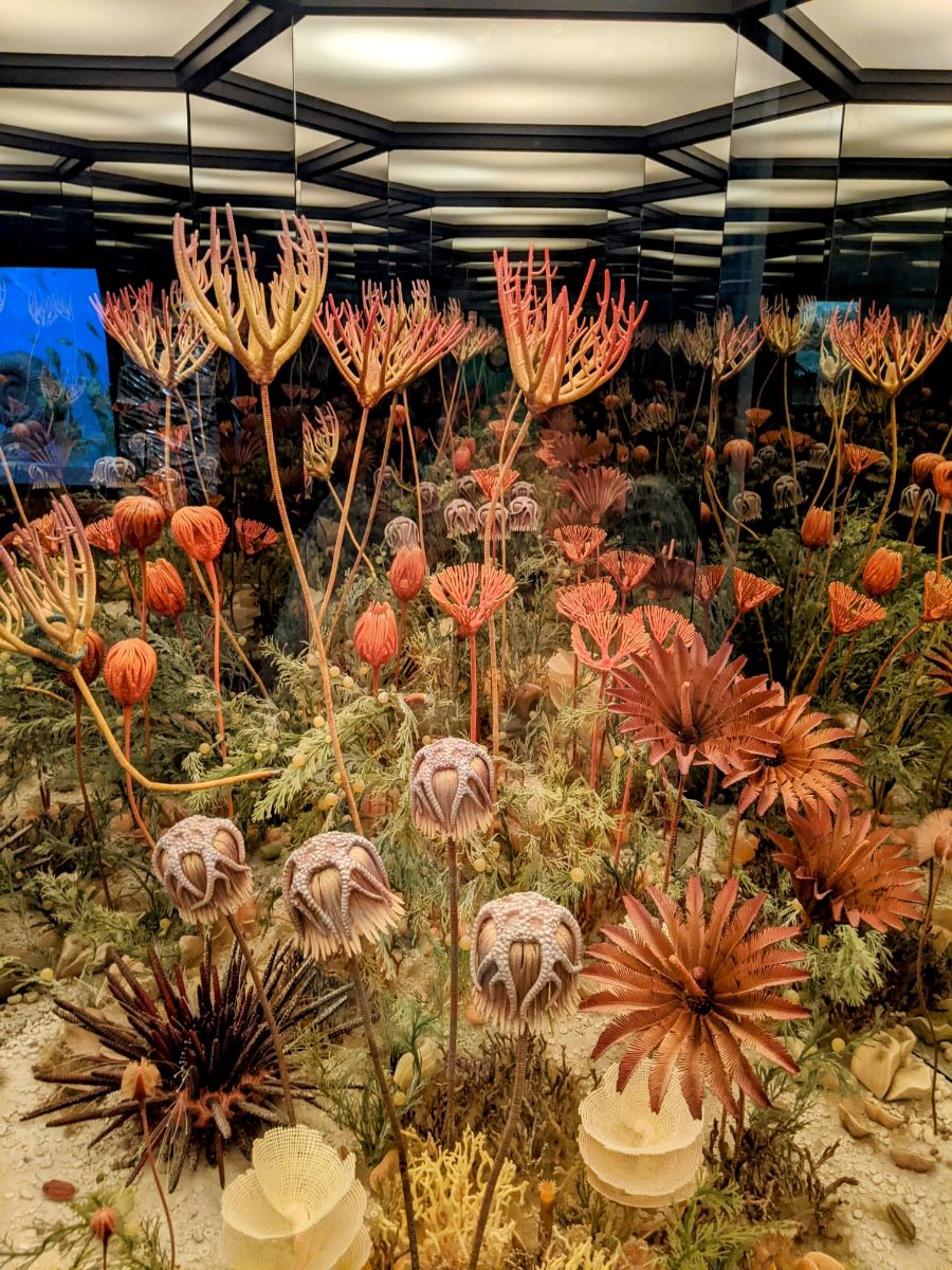 Museum of Ancient Life at Thanksgiving Point - Roadtrips & Rollercoasters