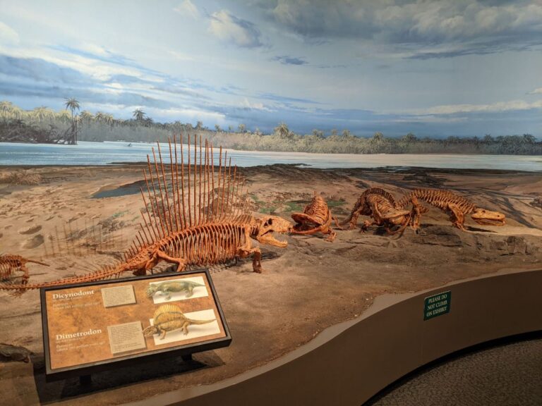 Museum of Ancient Life at Thanksgiving Point - Roadtrips & Rollercoasters