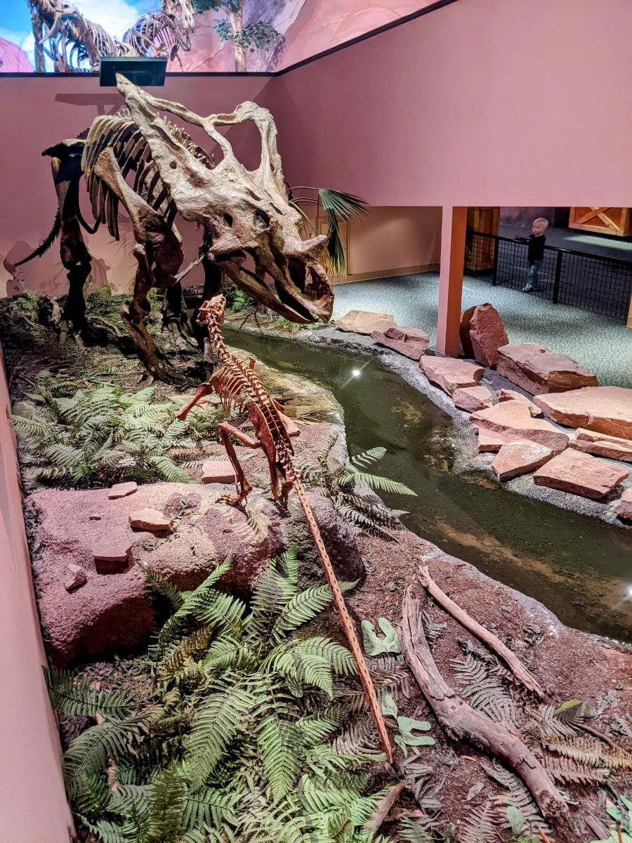 Museum of Ancient Life at Thanksgiving Point - Roadtrips & Rollercoasters