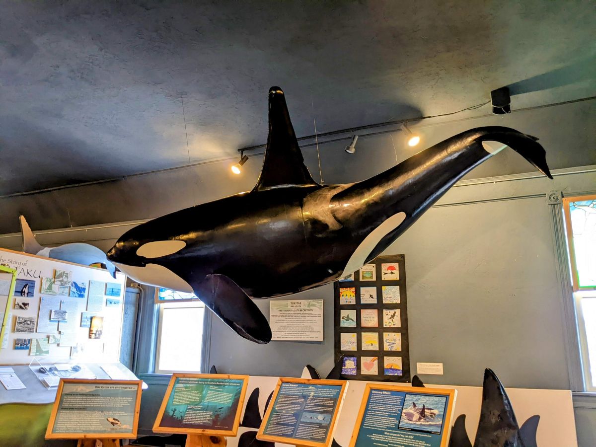 A Day in Friday Harbor - Roadtrips & Rollercoasters